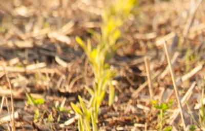 Alberta Environmental Farm Plan Home